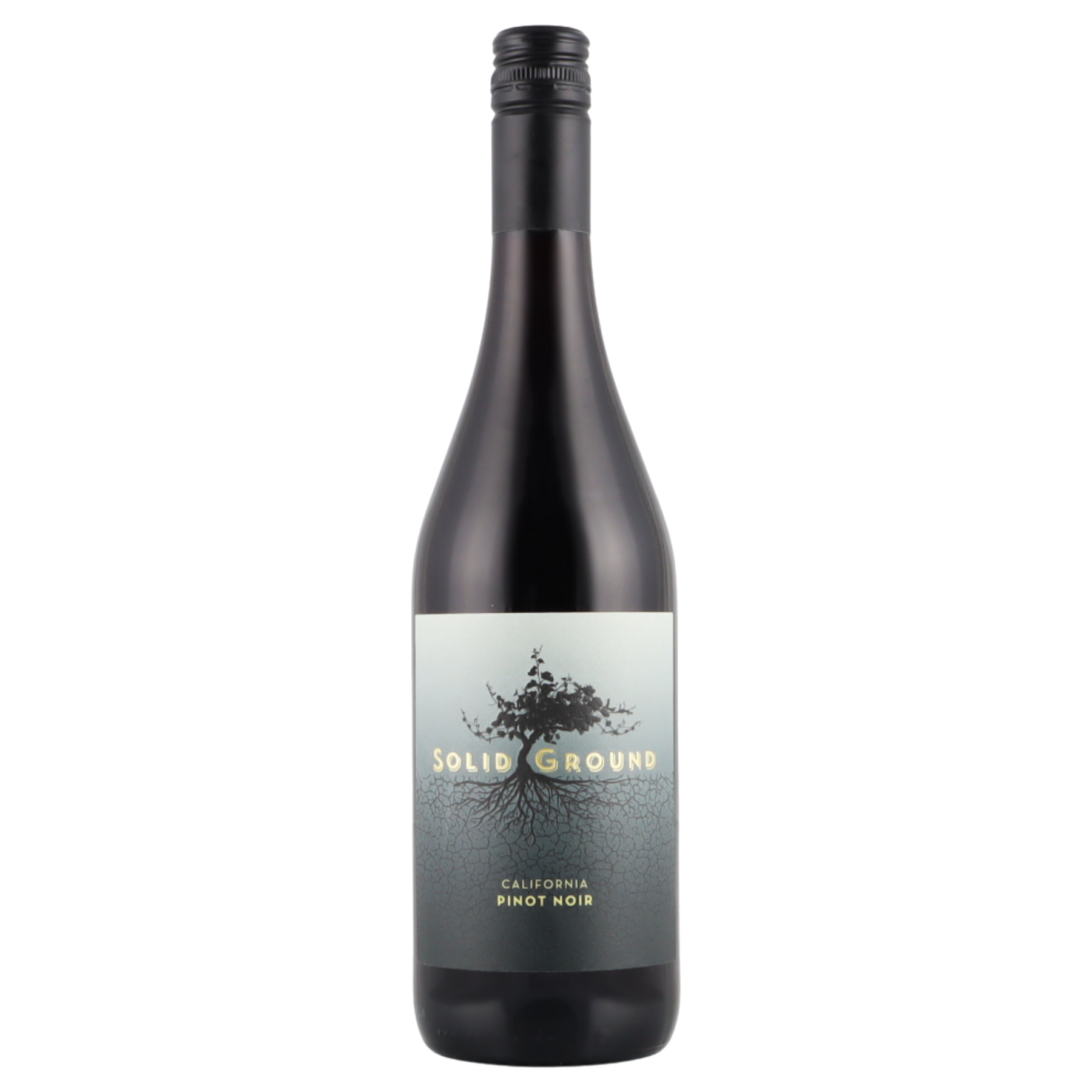 Solid Ground Pinot Noir – Profile Wine Group